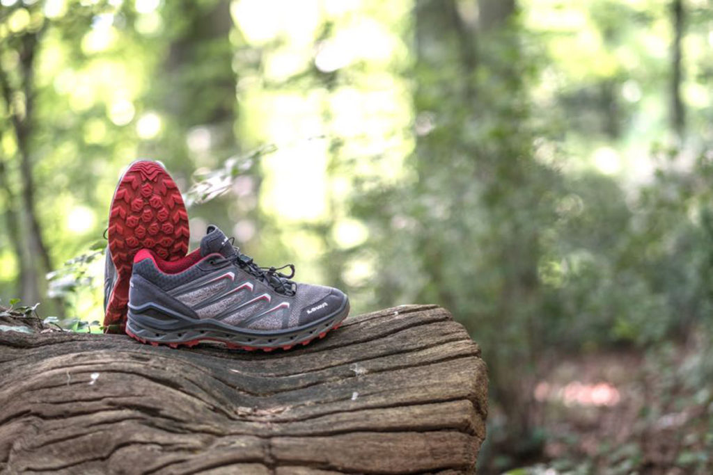 Wanderschuh Ratgeber: 8 Modelle in der Übersicht | Trekkinglife ...