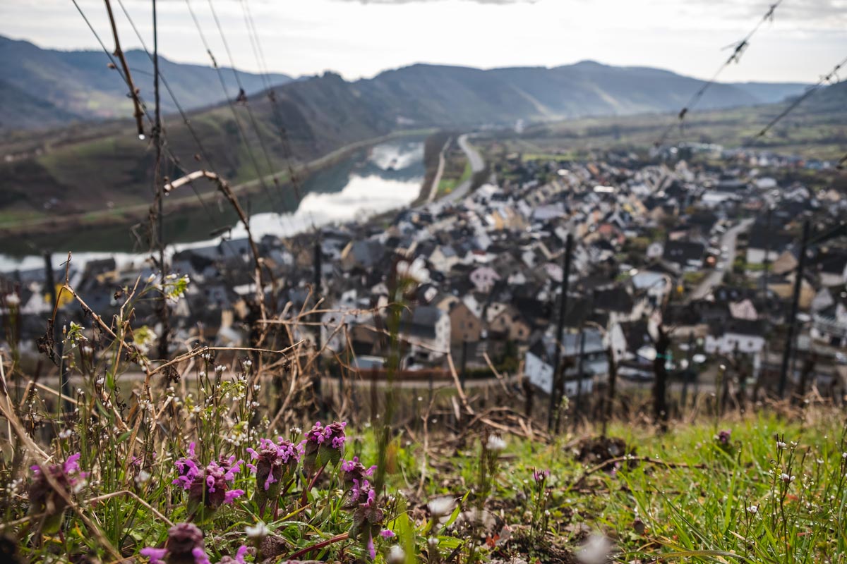 Calmont Klettersteig - Wandern an der Mosel | Trekkinglife